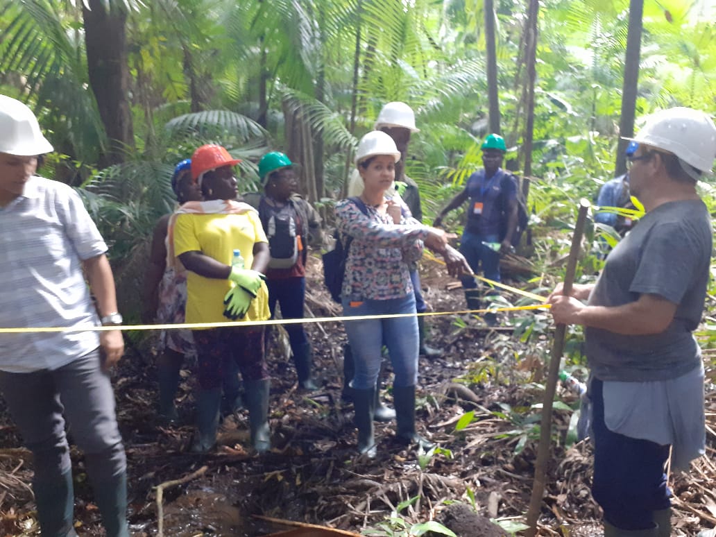 Suriname en Frans-Guyana wisselen podosiri-kennis uit – STVS