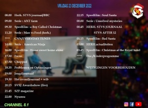 Programmaoverzicht – STVS