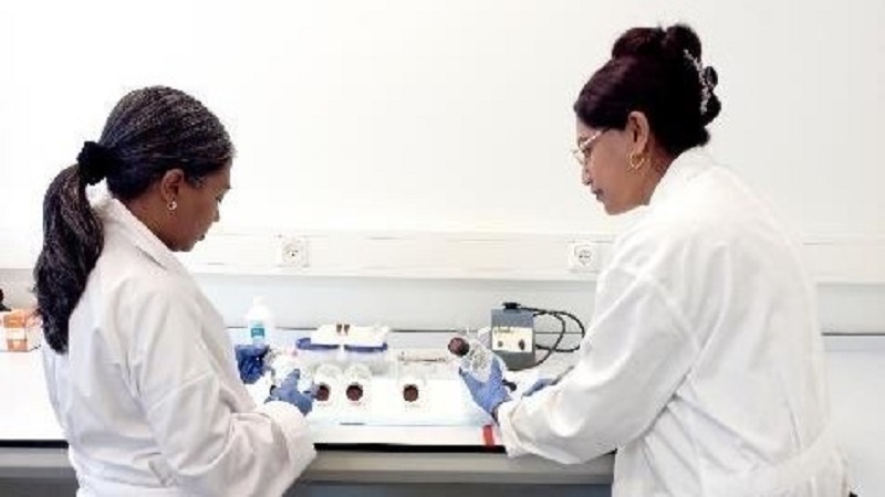 AdeKUS en BOG doen onderzoek naar insecticide resistentie status van ...