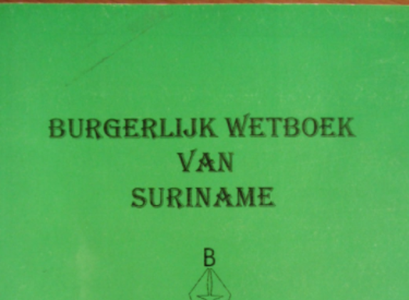 UPDATE: Afkondiging nieuw Burgerlijk Wetboek zal nog op zich laten ...