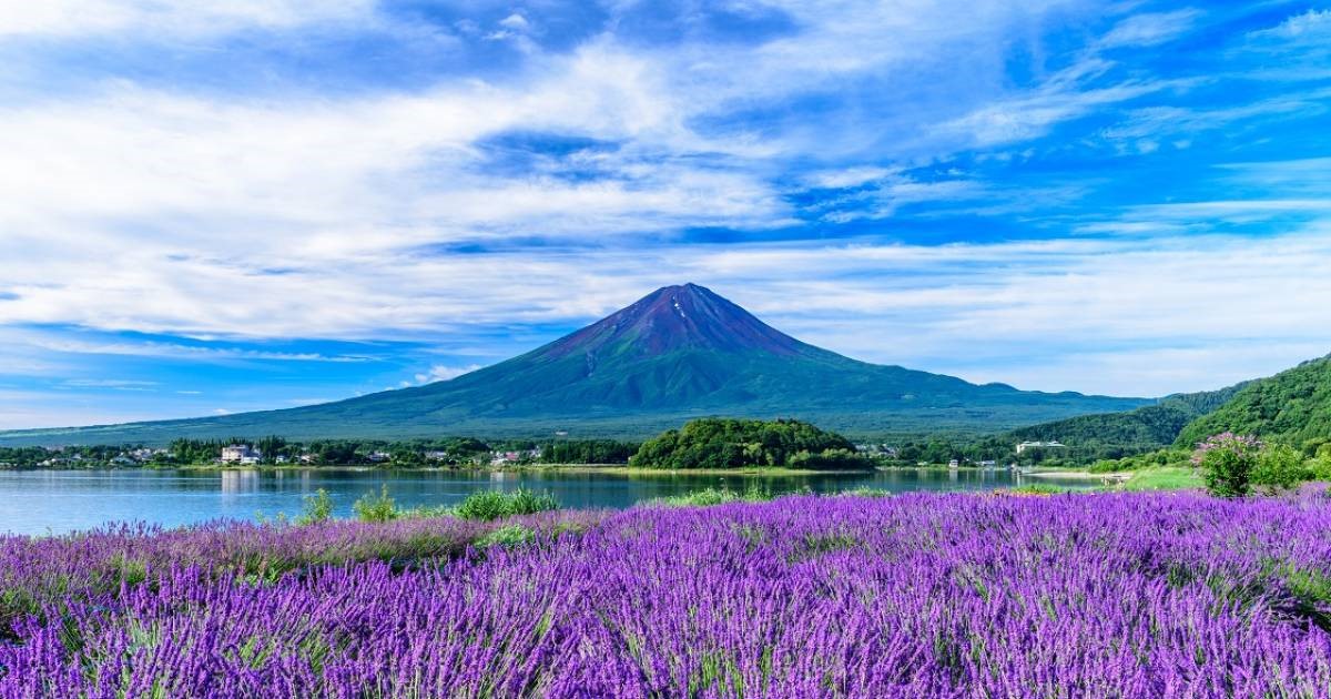 Er ligt op dit moment geen sneeuw op berg Fuji en dat is voor het eerst in 130 jaar – STVS