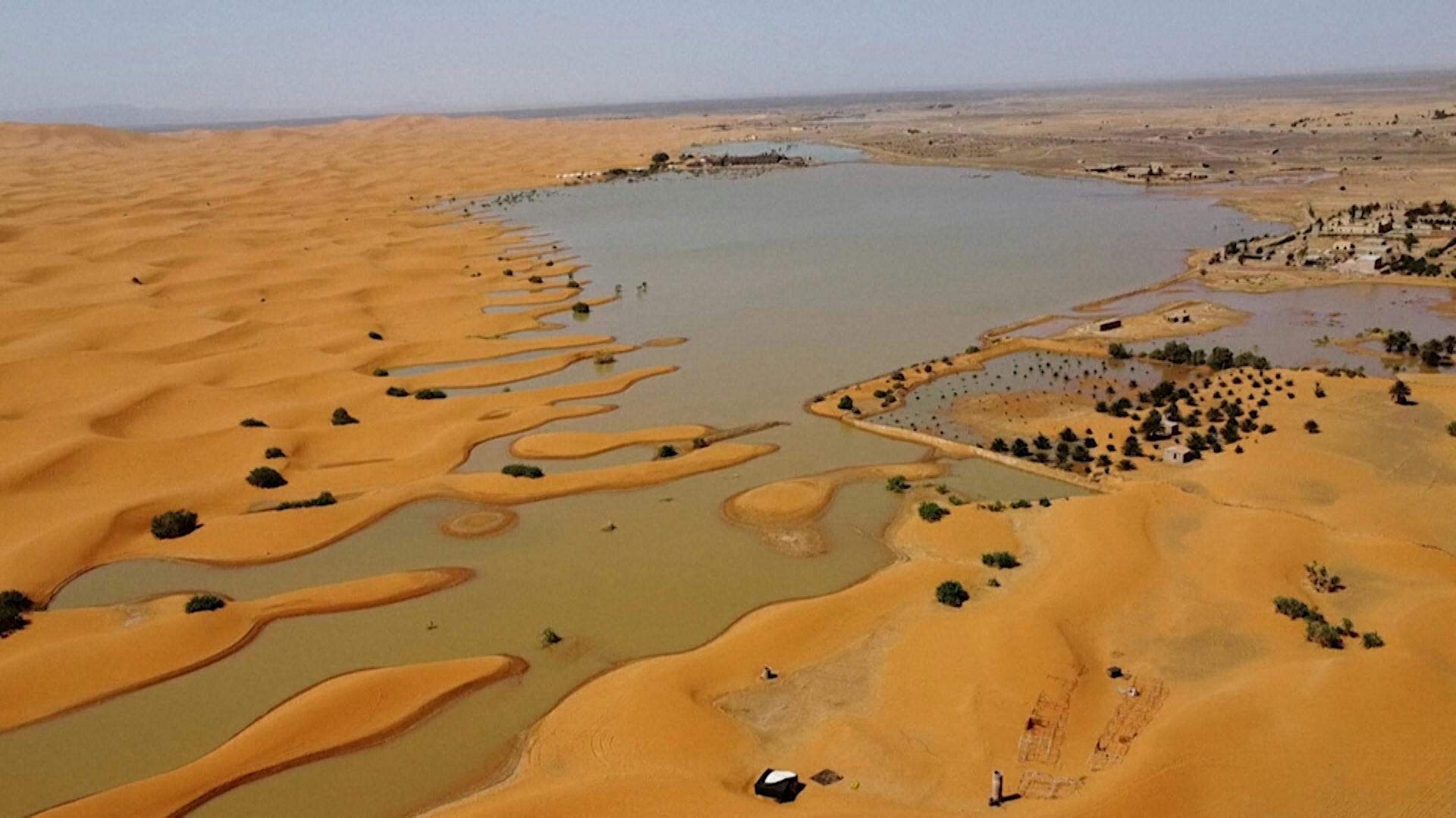Zeldzame hoeveelheid regen zet Sahara onder water – STVS