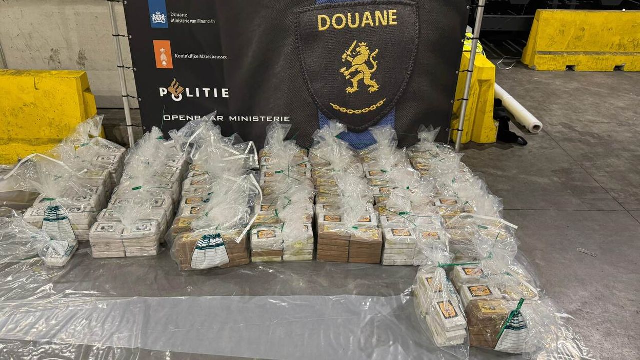 Douane vindt 720 kilo cocaïne tussen bananen uit Ecuador – STVS