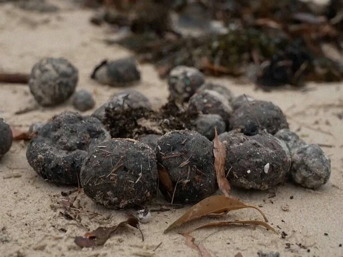 Menselijke poep, kookolie en drugs in raadselachtige ballen bij kust ...